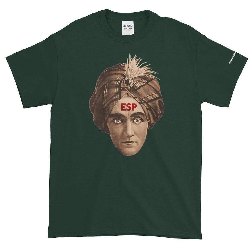 ESP Short-Sleeve T-Shirt | BBS | Includes Back & Sleeve Print — Phoenix ...